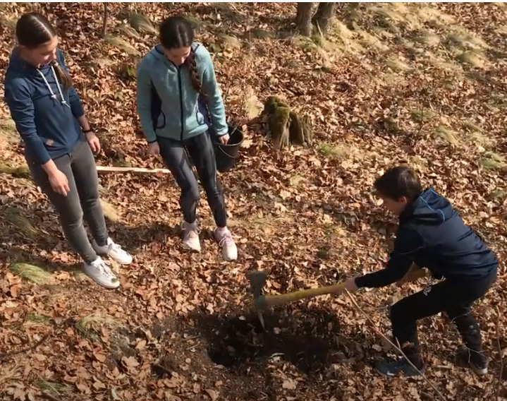 Cšod - novica: 30 dreves za 30 let CŠOD